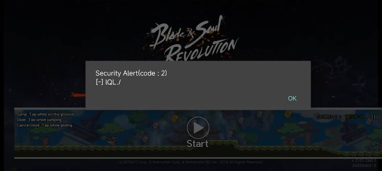 Error security alert (code 2) - Blade & Soul Revolution