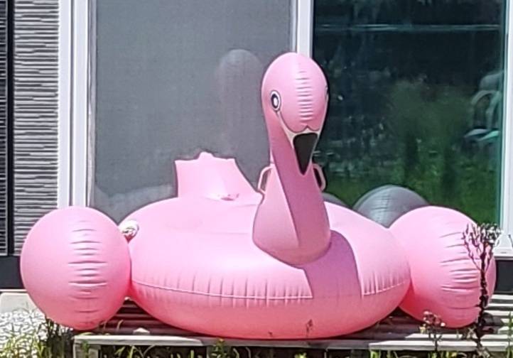 리니지 2 레볼루션 공식 커뮤니티 길에서 탑승펫을 만나다 Netmarble Forums