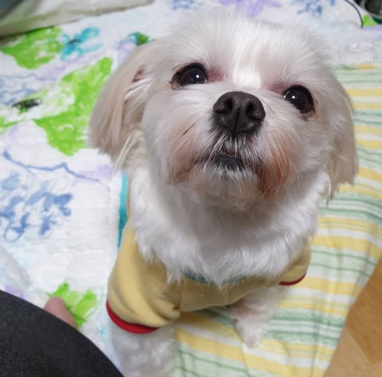 리니지 2 레볼루션 공식 커뮤니티 속이 시원ㅋ Netmarble Forums