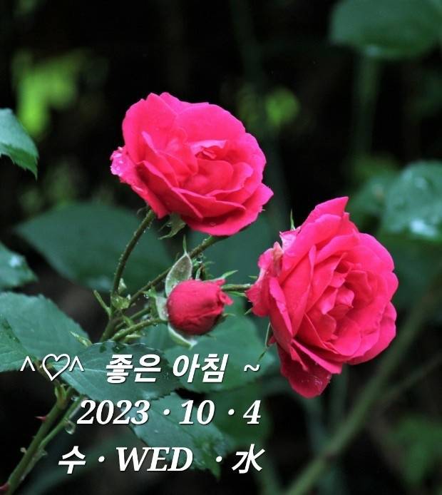 리니지 2 레볼루션 공식 커뮤니티 추석 지나고 쌀쌀해졋네요 Netmarble Forums