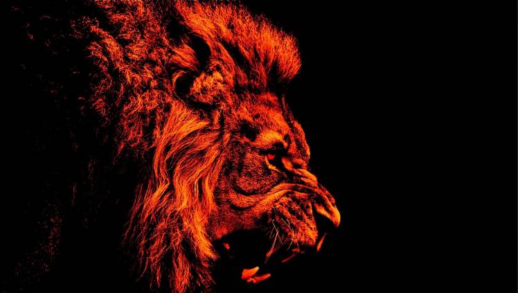 FIERCEFUL LION: Top 100 AC Alliance ranked #64!!! Looking for AC ...