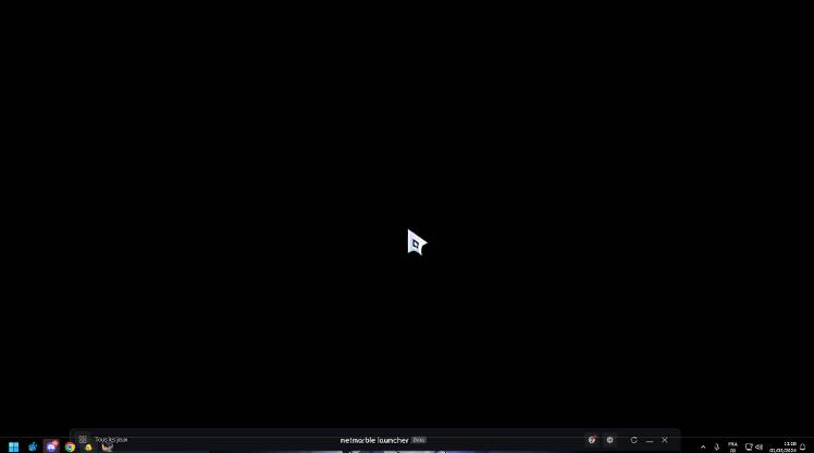 balck screen - Solo Leveling:ARISE