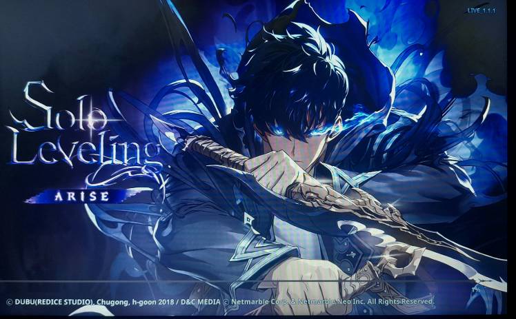 Loading screen stuck at 1%. - Solo Leveling:ARISE