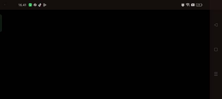 Black screen bug - Solo Leveling:ARISE