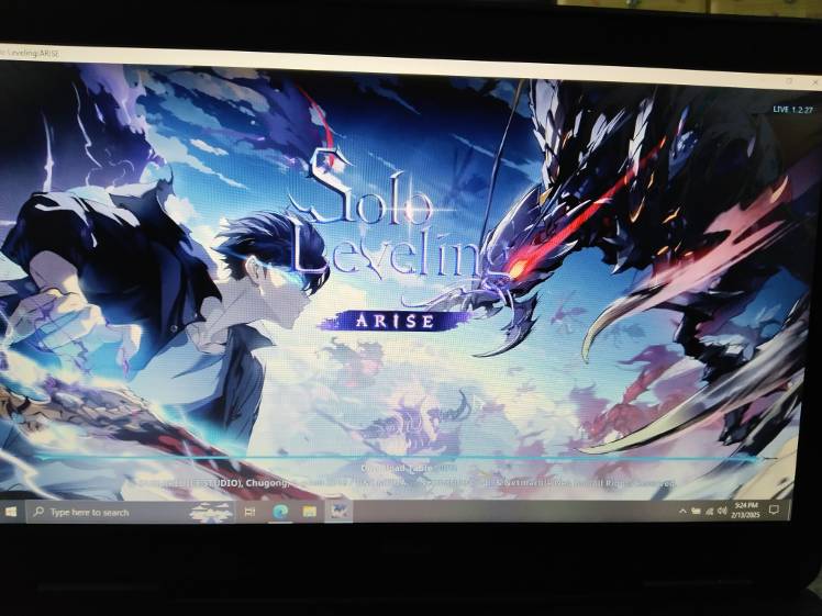 Request to fix resource loading error - Solo Leveling:ARISE