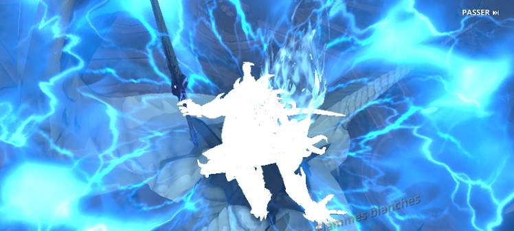 Bonsoir l equipe Solo leveling Arise... j aimerais signalé des bug avec ...