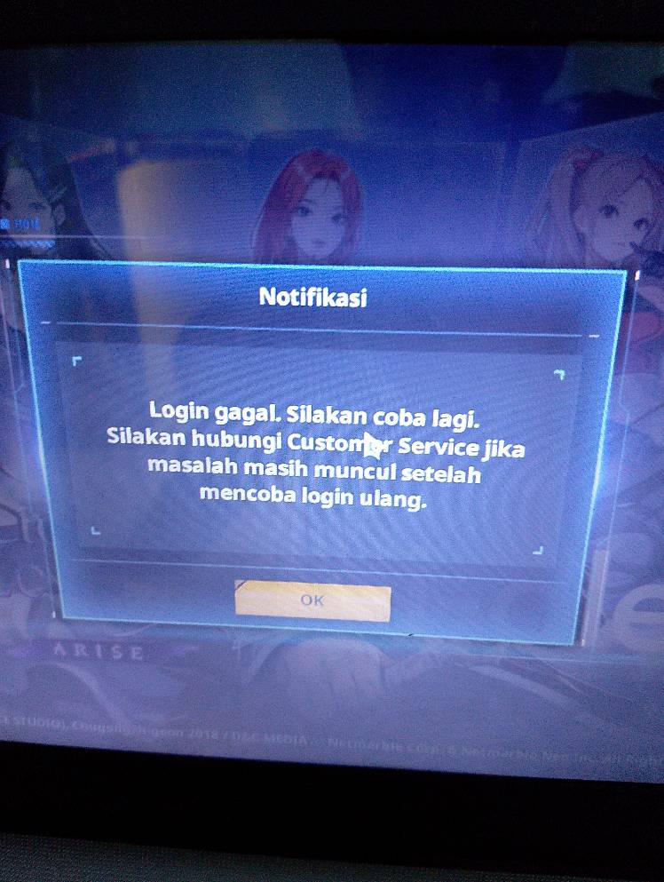 Report Bug - Solo Leveling:ARISE