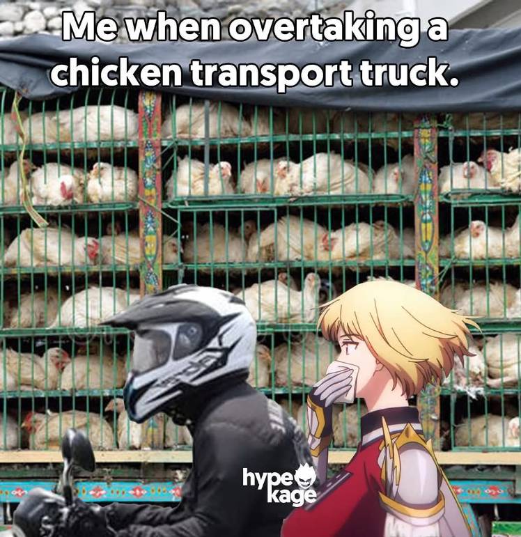 Cha will be more popular for meme content - Solo Leveling:ARISE