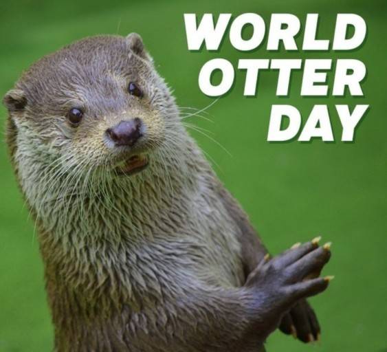 초보자 환영, Lv11 '수달' 길드에서 1명 구합니다. 전투력 80만 이상 , 같이 평생 하실 분 모셔요! - 나 혼자만 레벨업:ARISE